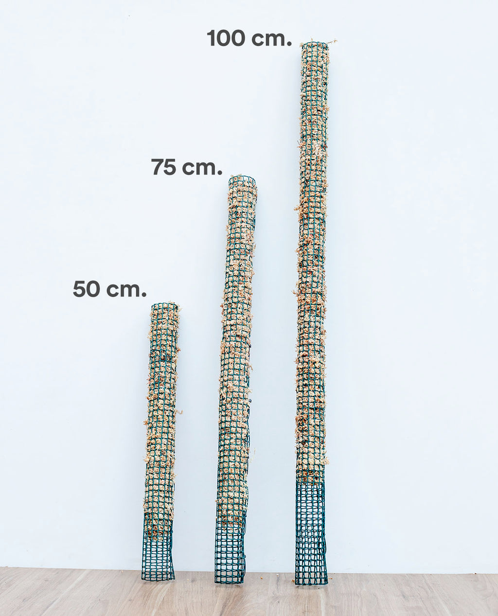 Tutor de musgo para plantas – lepotit